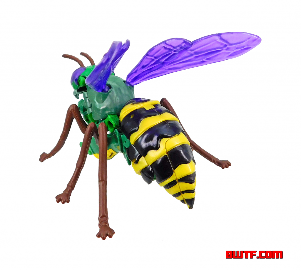 "Generations" War for Cybertron: Kingdom Waspinator Toy Review | Ben's ...