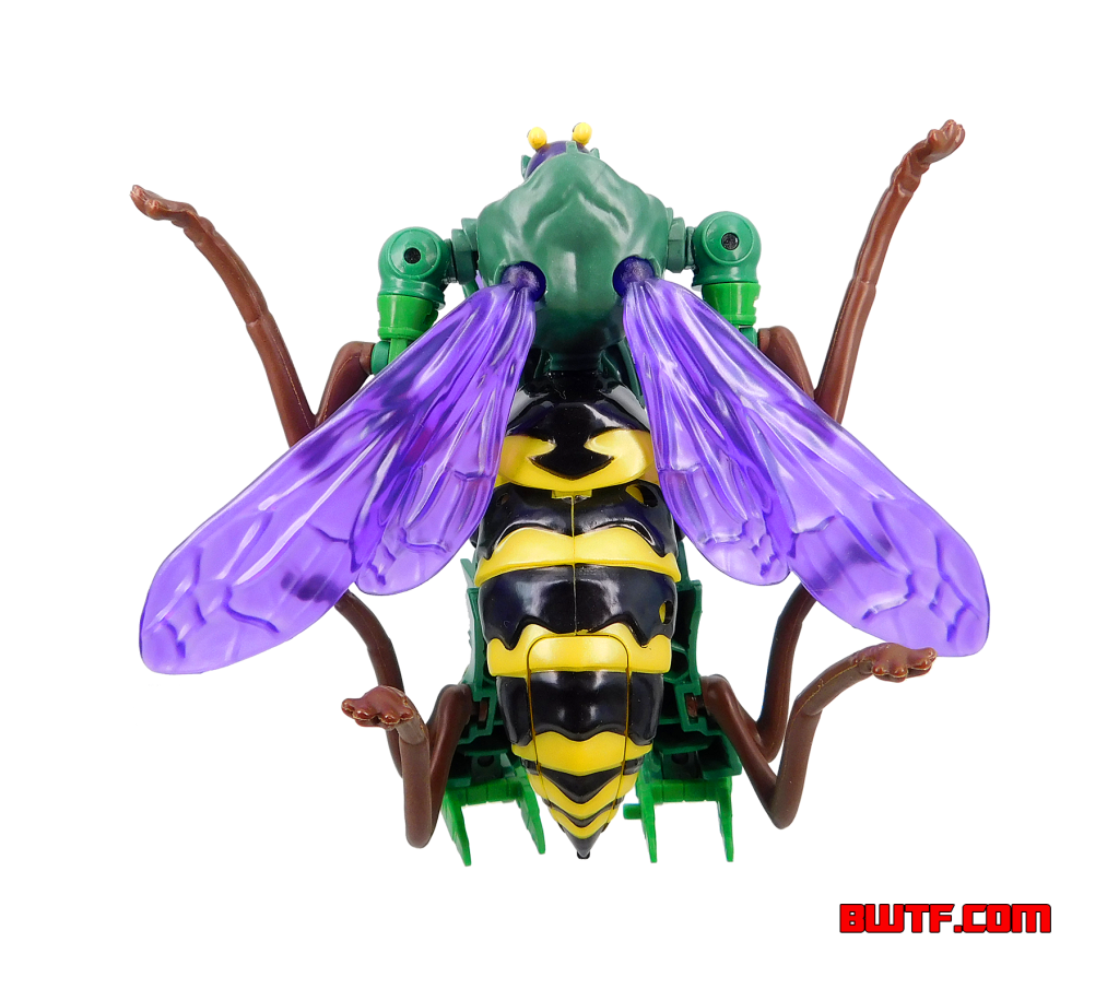 "Generations" War for Cybertron: Kingdom Waspinator Toy Review | Ben's ...